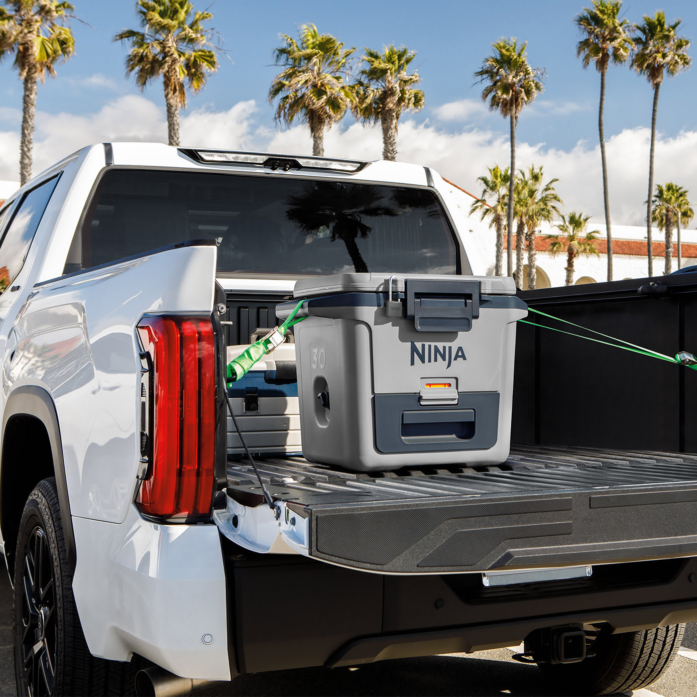 Ninja FrostVault 28L Small Hard Cooler with Lockable Lid – Grey