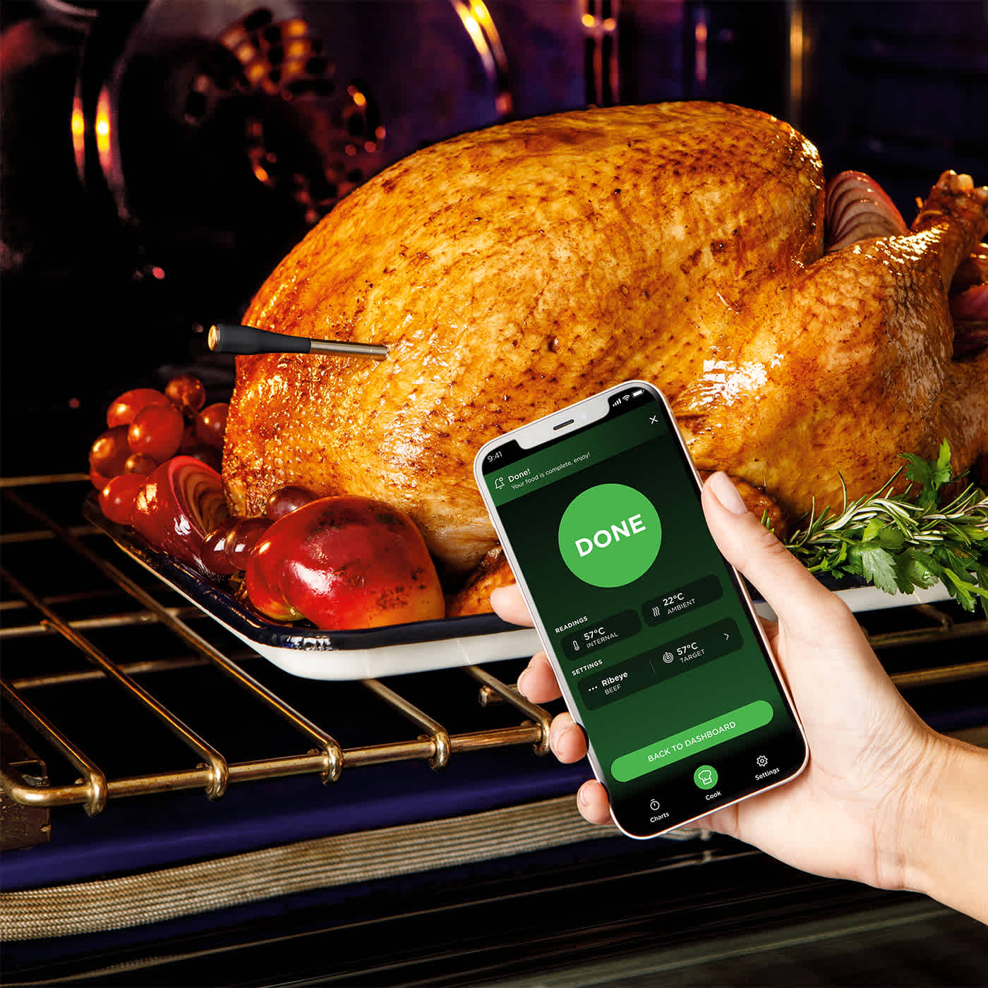 Ninja UK - Kitchen Appliances | Blenders, Air Fryers, Grills & More