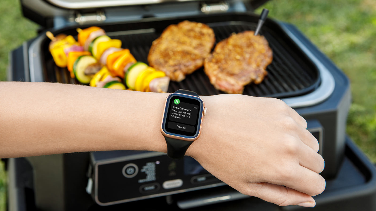 Ninja ProChef Wireless Meat Thermometer | Digital Temperature Probe