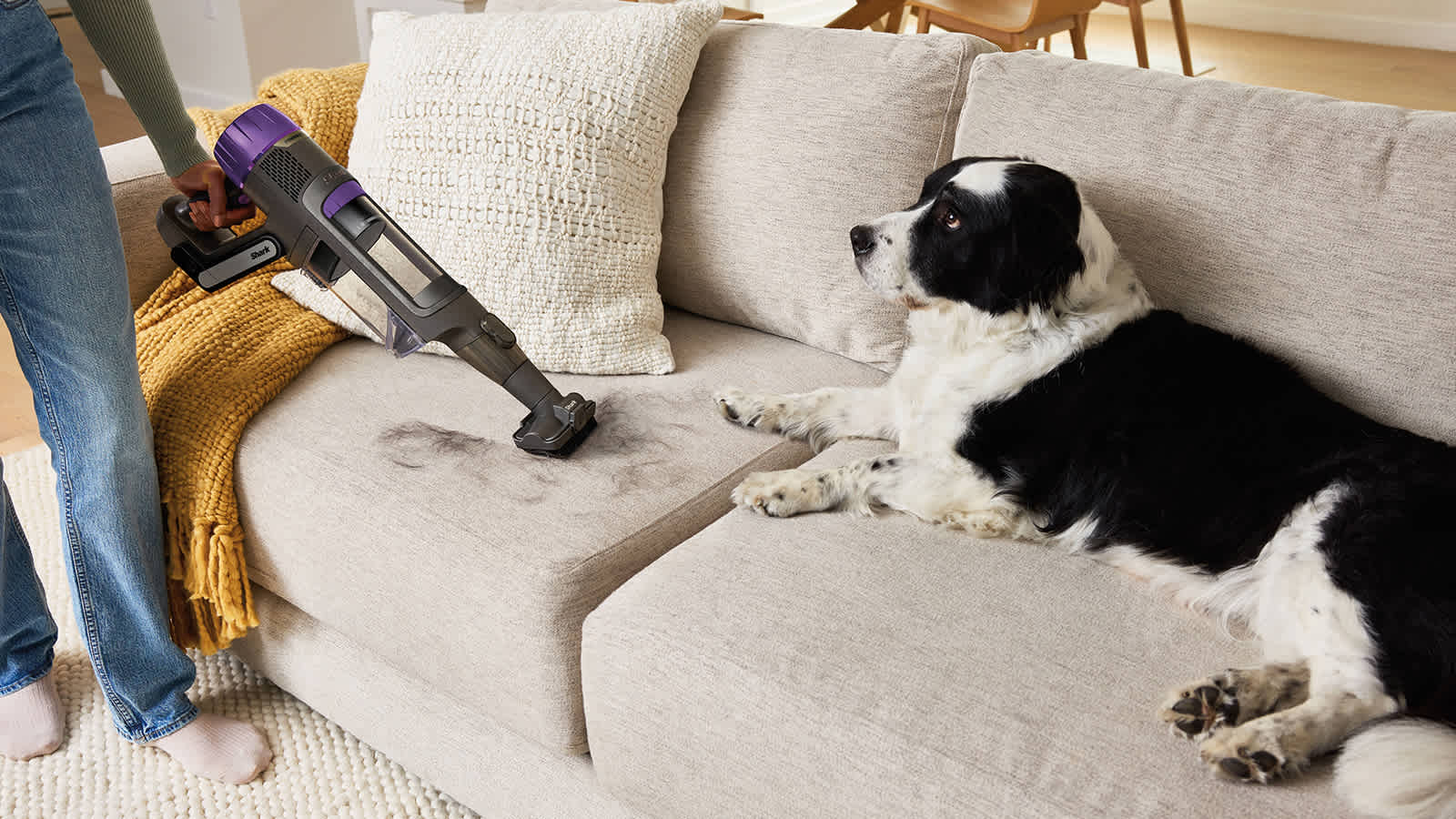 Shark PowerDetect Clean & Empty Akku-Staubsauger für Tierhaare IP3251EUT