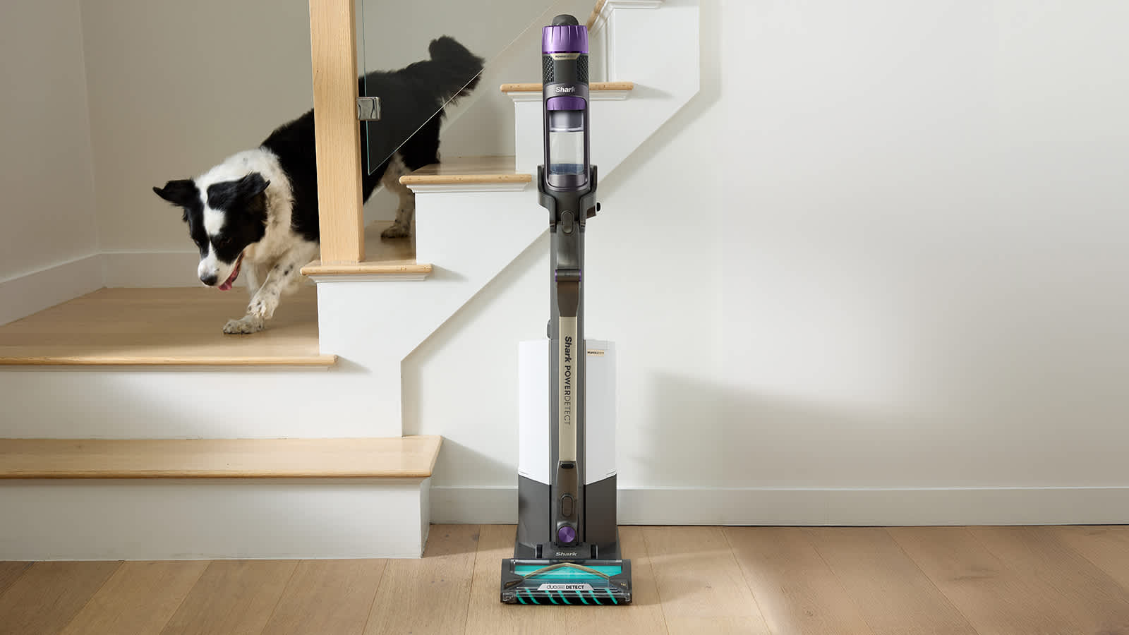 Aspirapolvere senza filo Shark PowerDetect con autosvuotamento ...