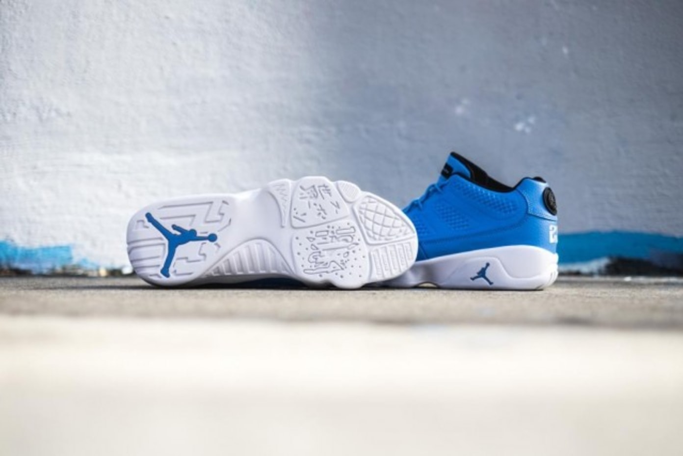 The Air Jordan 9 Low Pantone | Shelflife