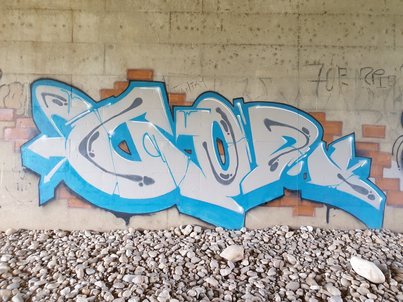 Artist Series: Cros | Shelflife