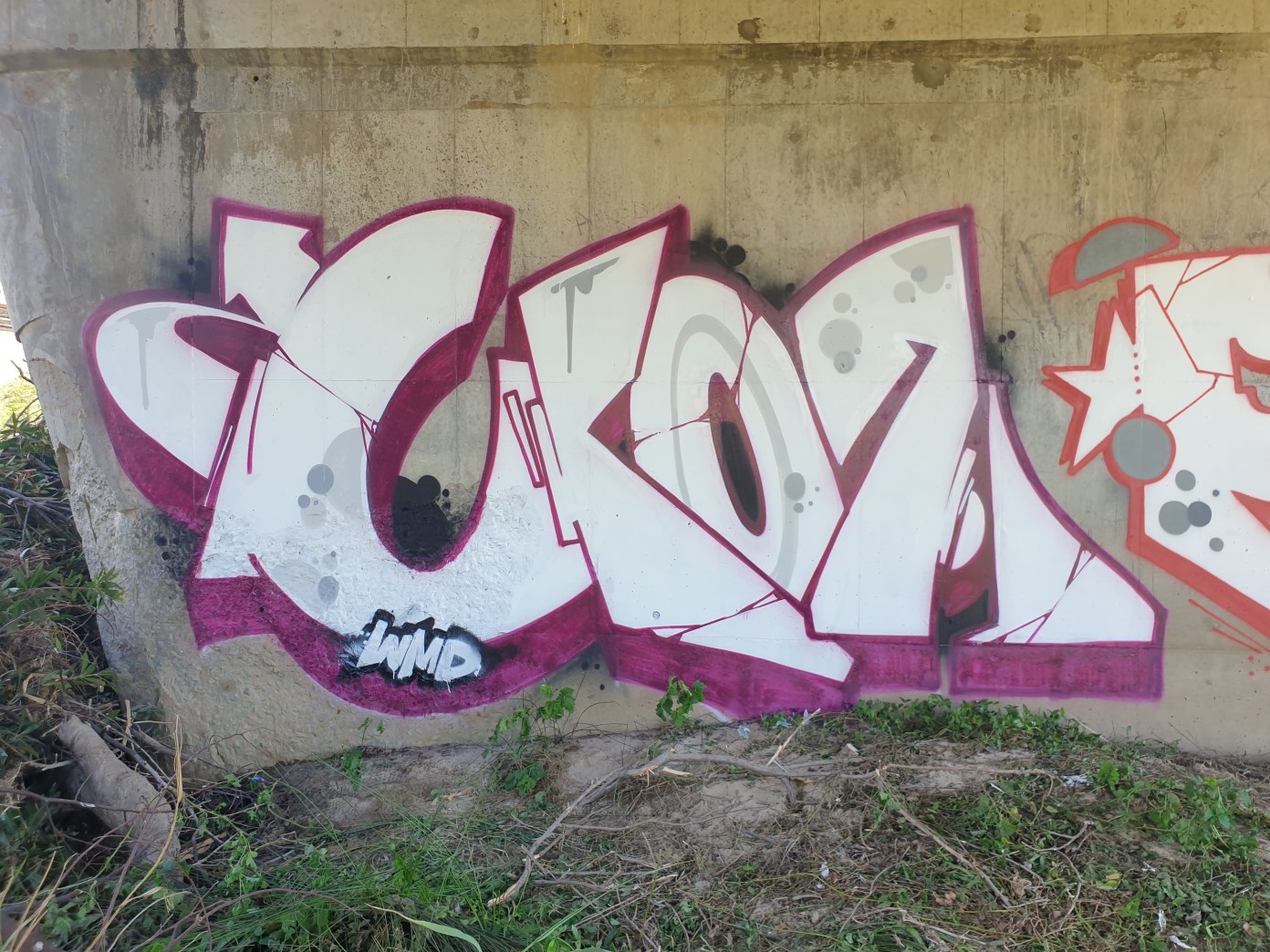 Artist Series: Cros | Shelflife