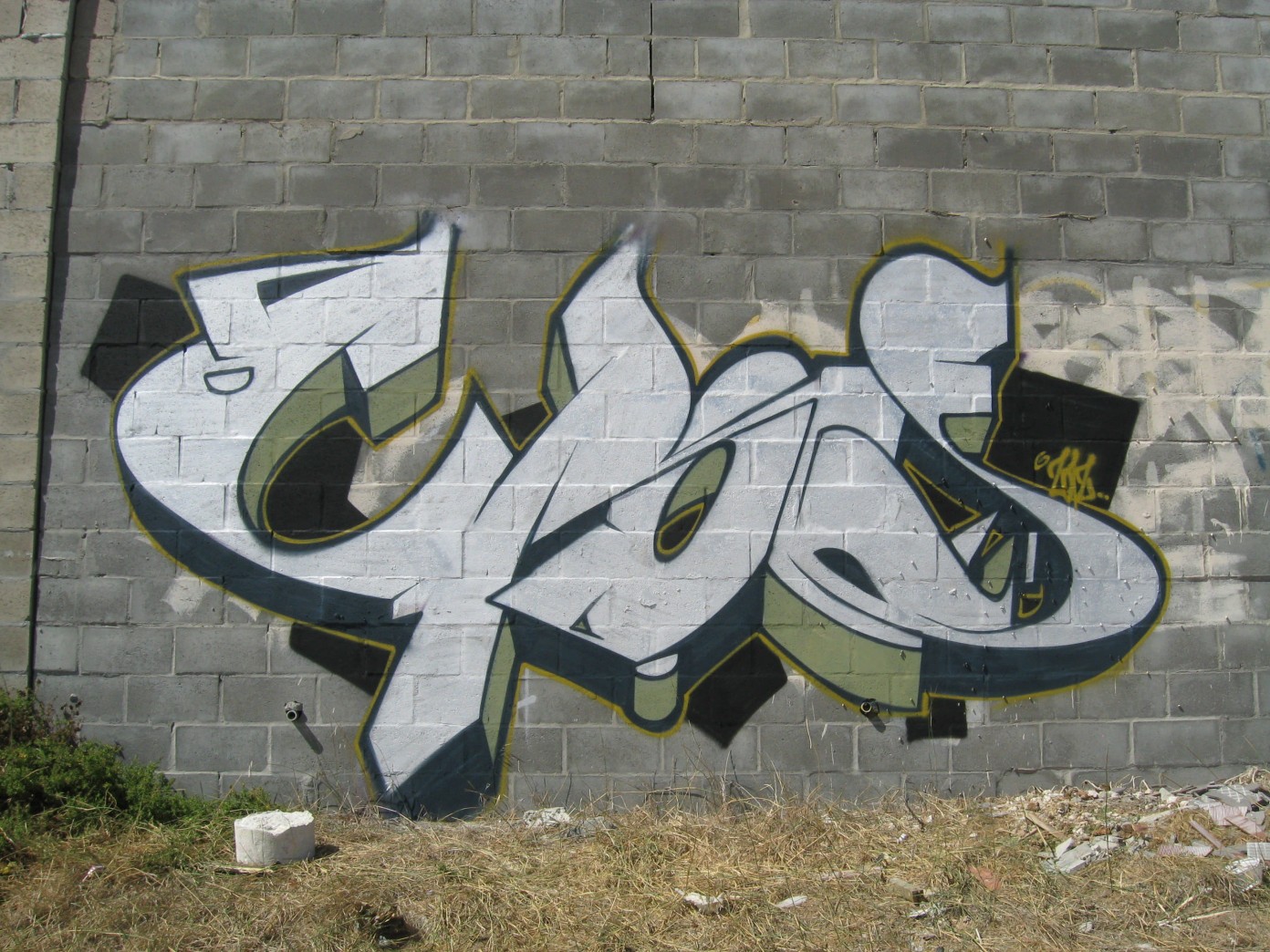 Artist Series: Cros | Shelflife