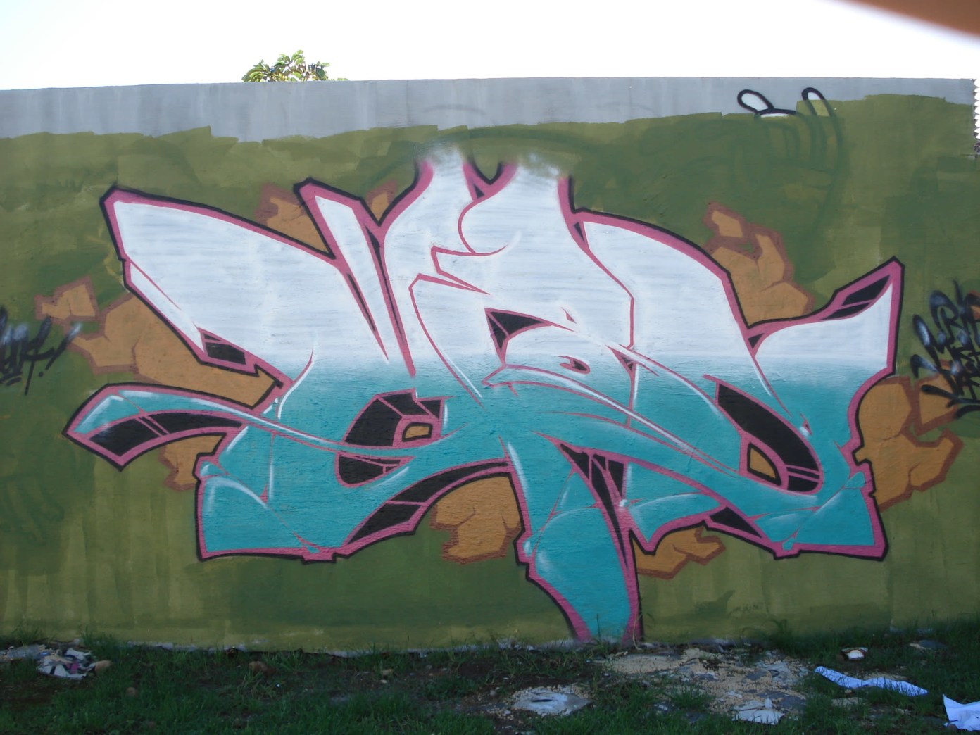 Artist Series: Cros | Shelflife