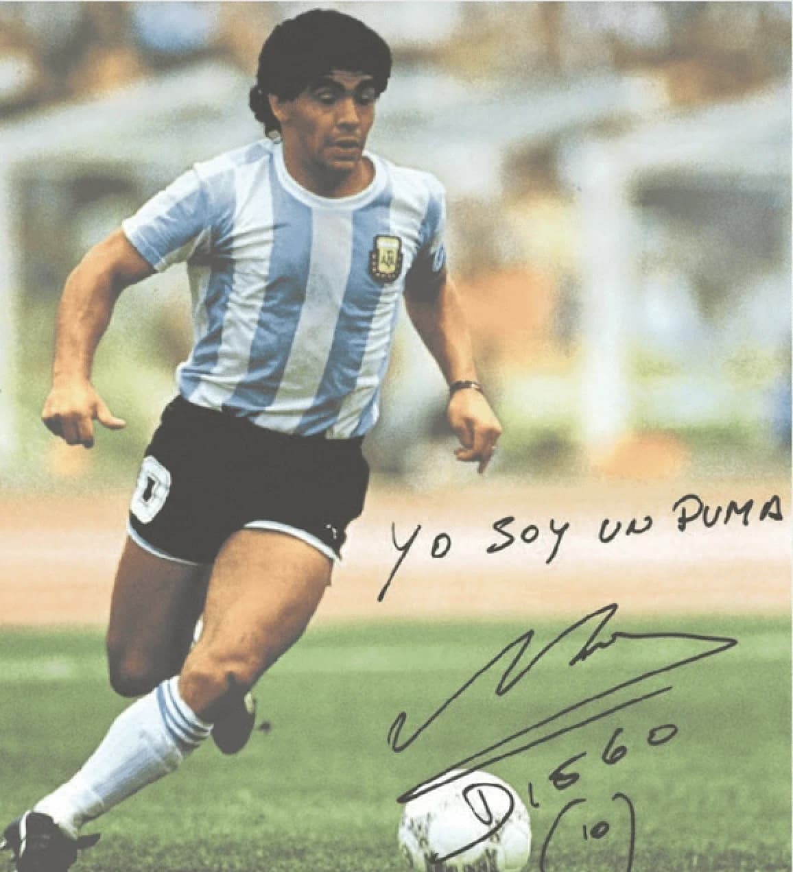 The History of the PUMA King Indoor | Shelflife