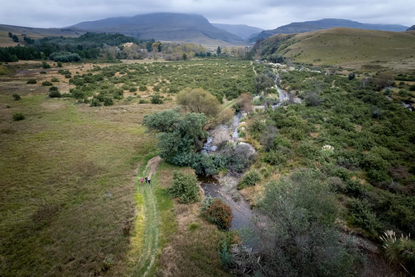 HOKA Clifton Lifestyle featuring Matt Bouch | Shelflife