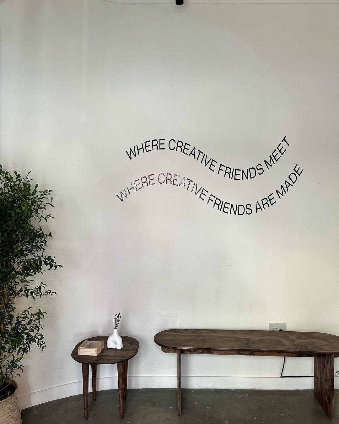 Mamakashaka & Friends with Nandi Dlepu | Shelflife