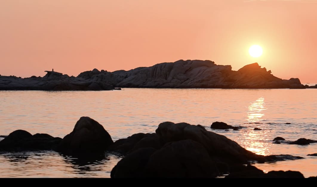 Neptune Party, Bonifacio · Shotgun Tickets