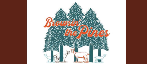 Browsin' The Pines cover photo
