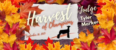 Showman | Livestock Show Management Software