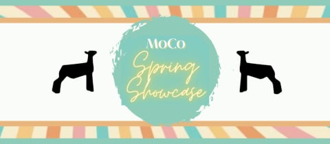 Showman | Livestock Show Management