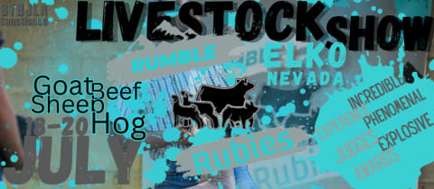 Showman | Livestock Show Management Software