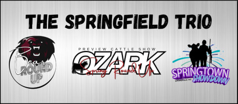 The Springfield Trio cover photo