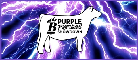 Showman | Livestock Show Management Software