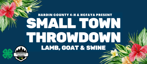 July Small Town Throwdown cover photo