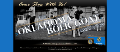 Showman | Livestock Show Management Software