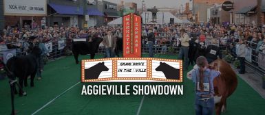 Showman | Livestock Show Management Software