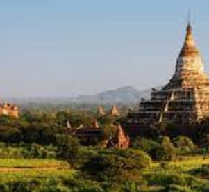 Myanmar Shwe Ywar Ngan — Kaffee Culture | Coffeeopia