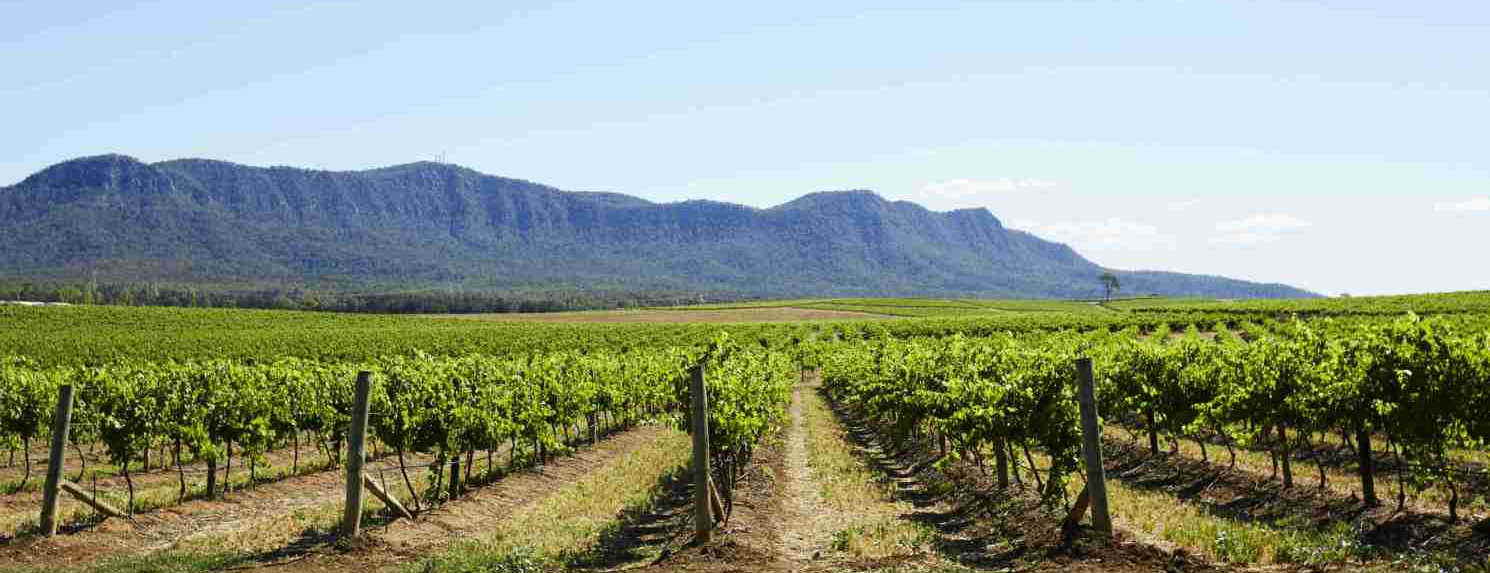 Hunter Valley Wine Tours & Day Trips from $115 | Hunter Valley Tours ...