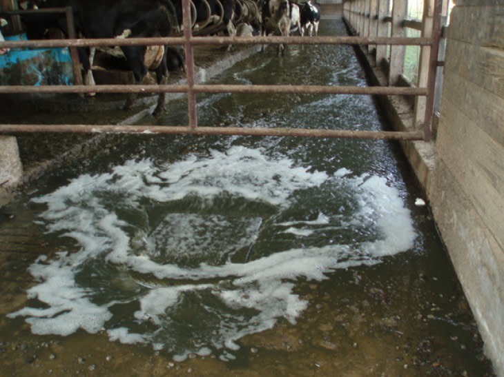 | Harold's Equipment