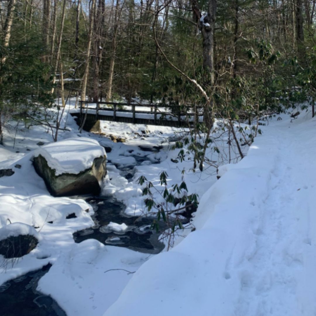 Winter Trail Running: 6 Snow-Day Essentials Every Runner Needs | by ...