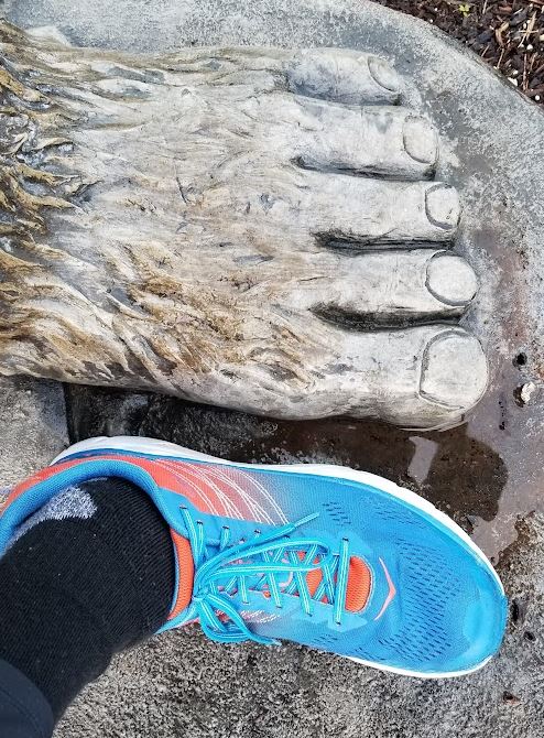 How Often Should You Replace Running Shoes? | by Evan Jensen | WeeViews