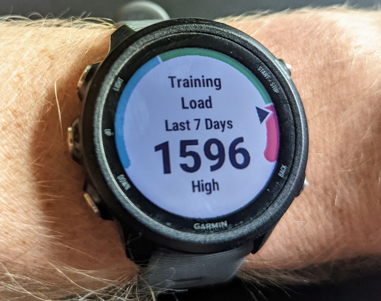Check Out This Data on 18 Popular Garmin Running Watches | by Brian ...