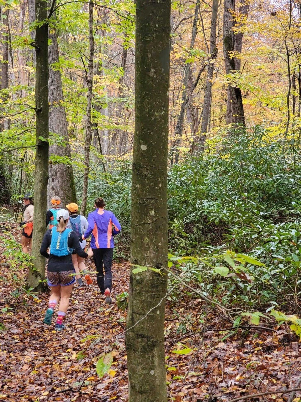 Social Running: 5 Surprising Rewards for Running with Others | by Lucie ...