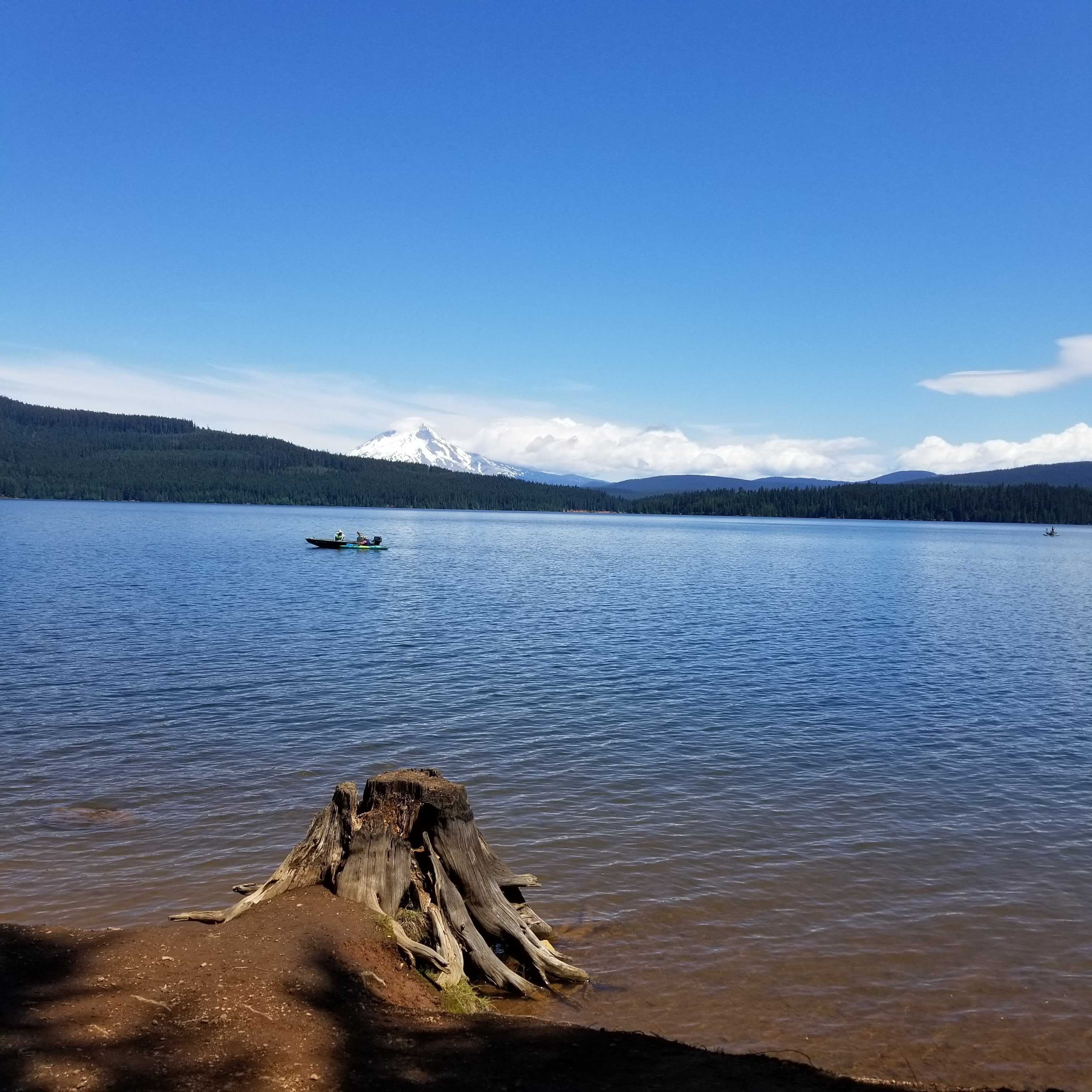 Run the Timothy Lake Trail + a Cool Timberline Marathon Finish | by ...