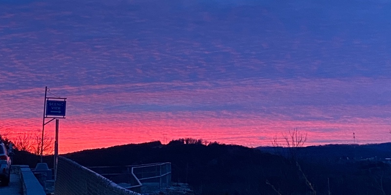 Desiree - Singer-Songwriterin aus Hollister | mukken