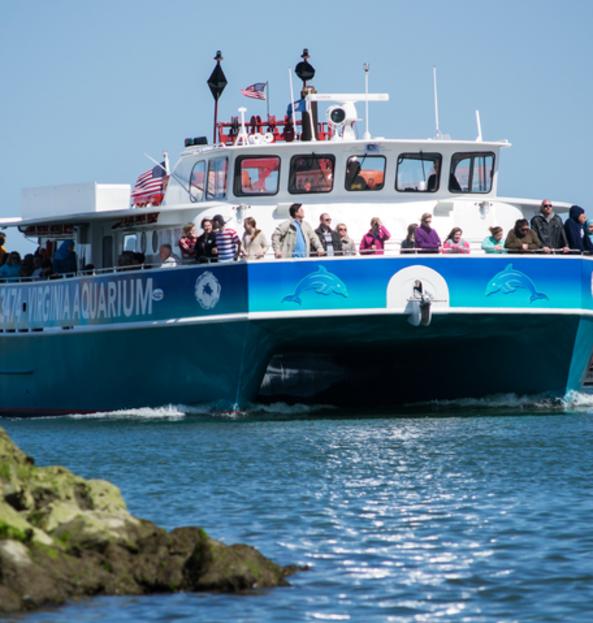 Virginia Aquarium & Marine Science Center