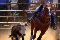 Eugene Oregon | Official Visitor Information & Inspiration