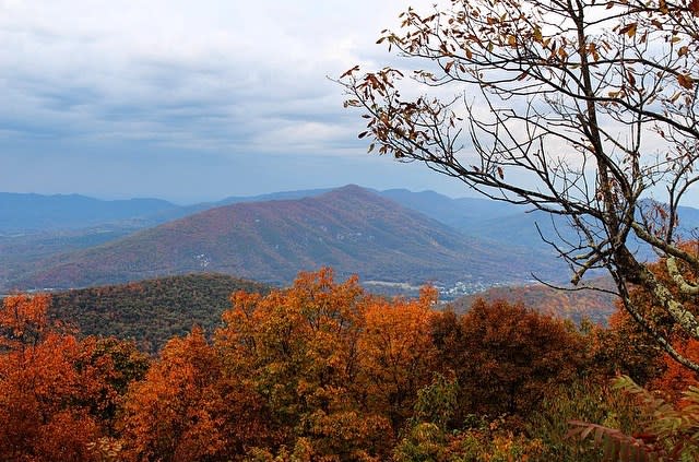 Fall Foliage | Virginia's Blue Ridge Mountains Photo Gallery