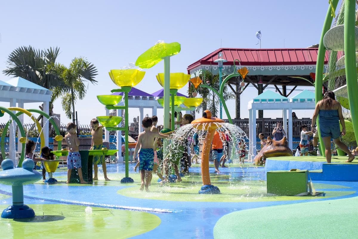 Florida Aquarium Splash Pad at Joan Dudley blog