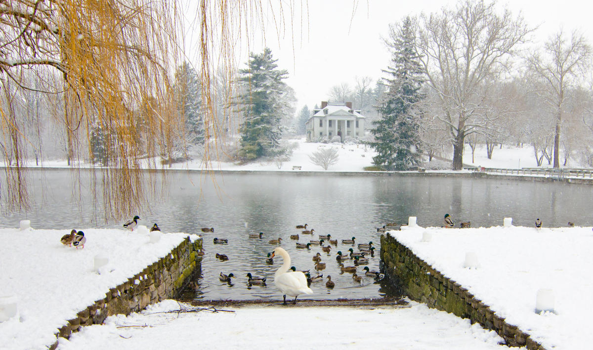 Children's Lake