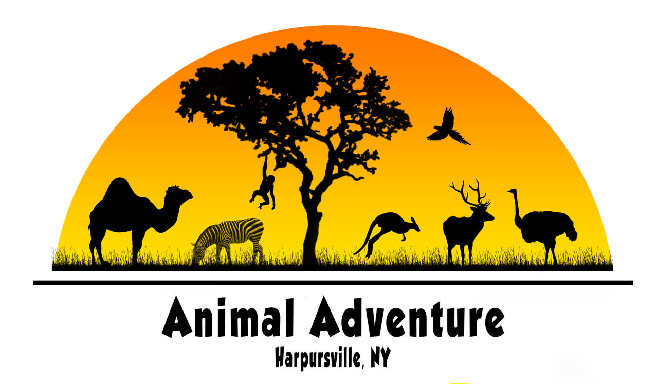 Animal Adventure Park | Harpursville, NY 13787