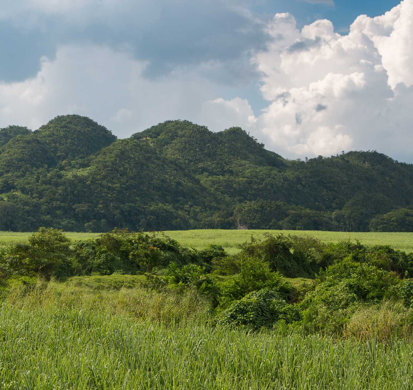 Visit Jamaica | Island Culture, Things to Do, Hotels & More Visit Jamaica | Island Culture, Things to Do, Hotels & More