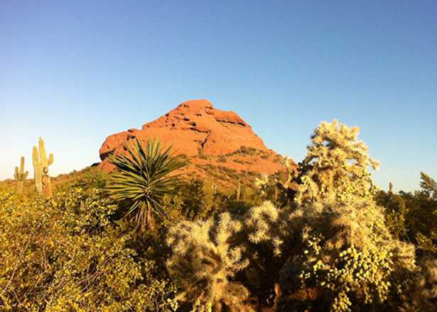 Things to Do in Phoenix | Phoenix Trip Ideas