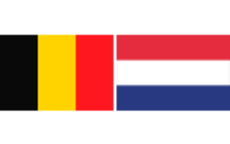 Netherlands And Belgium Flag - Management And Leadership