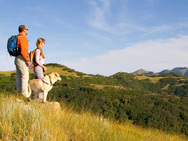 New Mexico Tourism & Travel - Vacations, Attractions & Things to Do