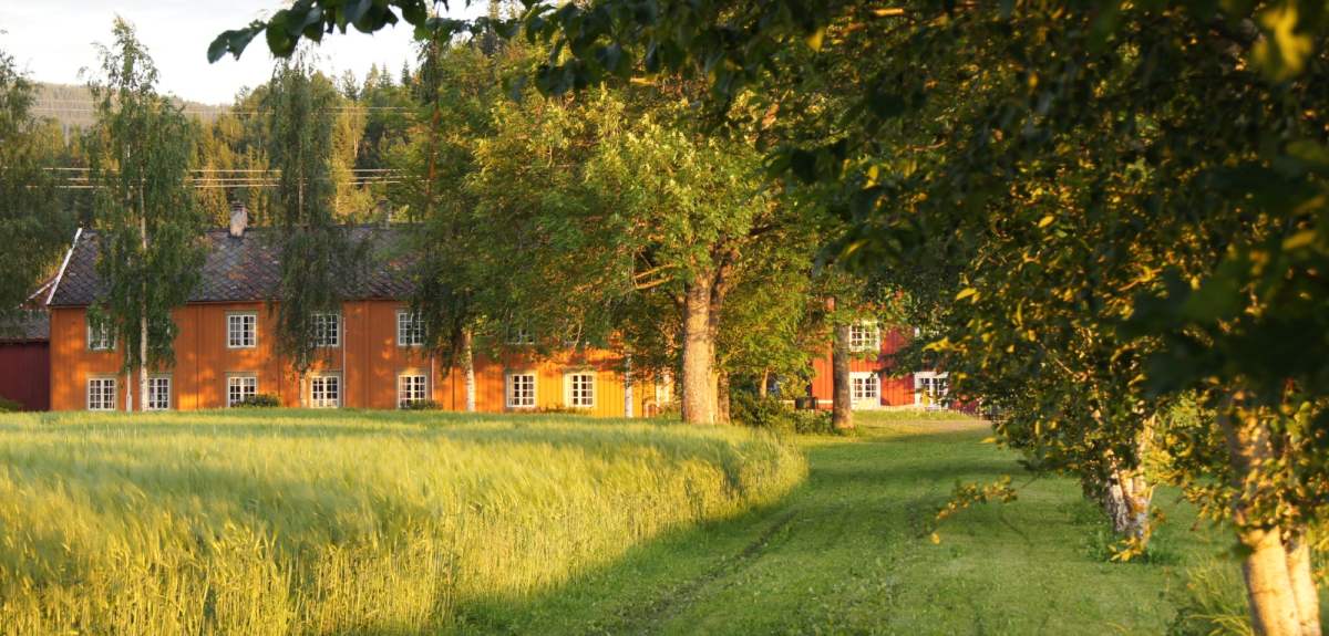 Farms - Official Travel Guide to Norway - visitnorway.com