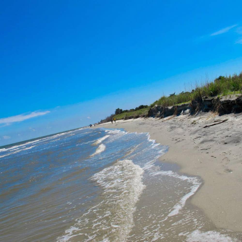 Sandlapper Water Tours | Charleston Area CVB