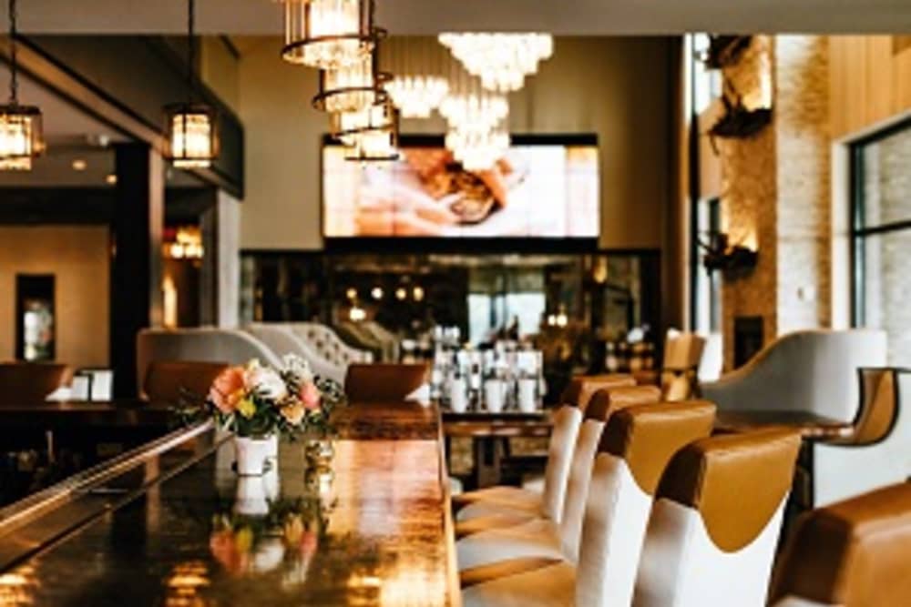 Use Andell Inn For A Perfect Charleston Wedding | Charleston Wedding Guide