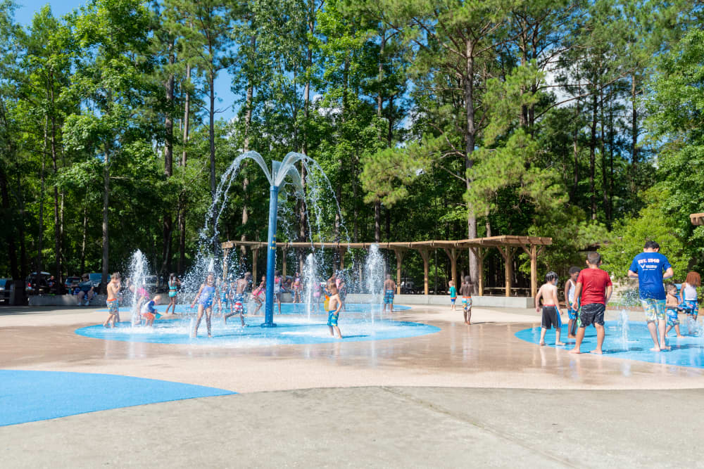 Wannamaker County Park | Charleston Area CVB