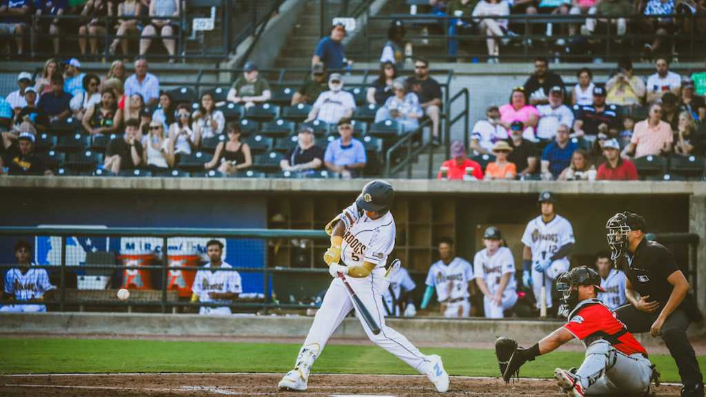 Charleston RiverDogs Baseball / Joseph P. Riley, Jr. Park | Charleston ...
