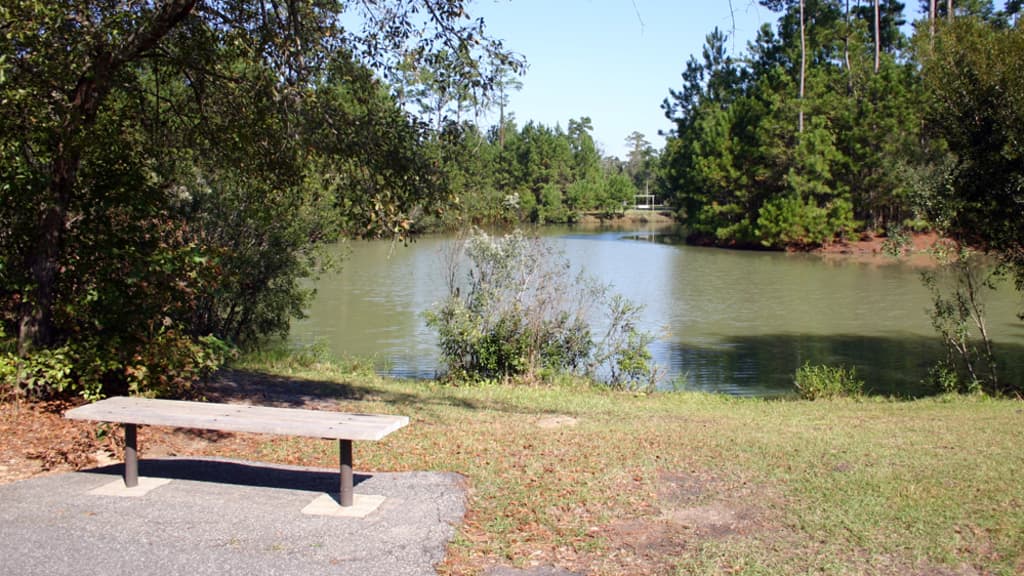 Wannamaker County Park | Charleston Area CVB