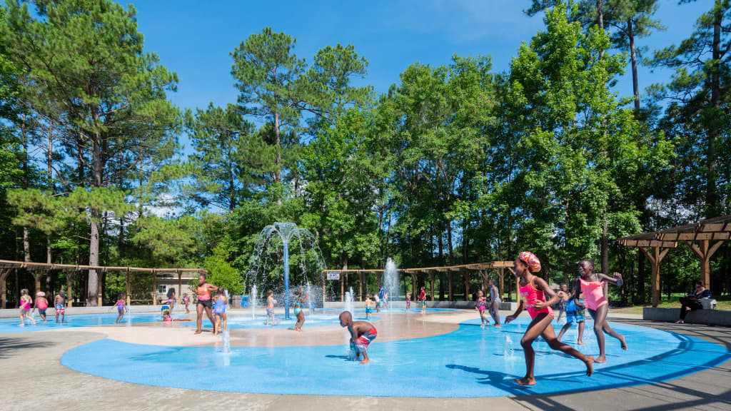 Wannamaker County Park | Charleston Area CVB