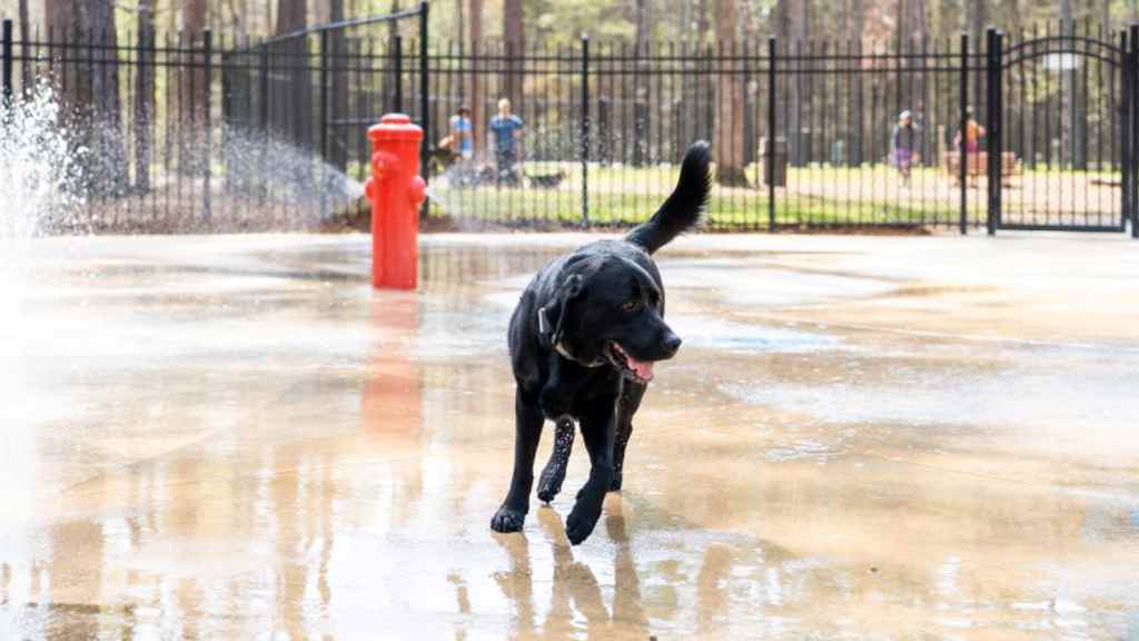 Wannamaker County Park | Charleston Area CVB